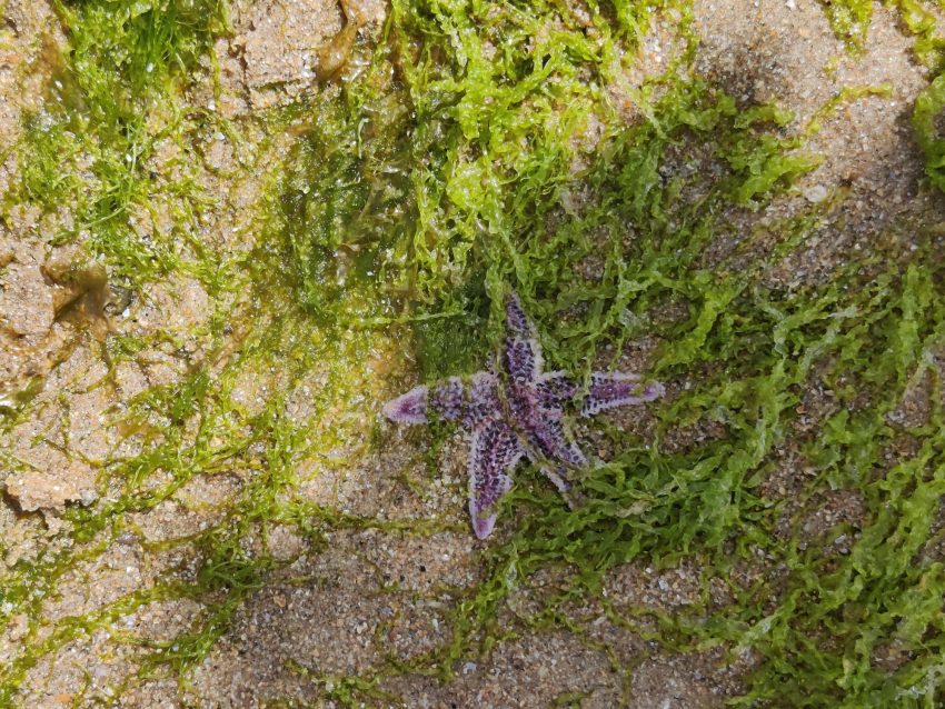 Ker Netra mercredi 5 juillet – Ecole élémentaire Jules Ferry de ...